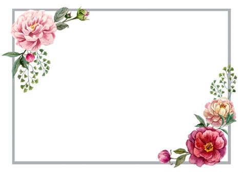 Cartão Floral 5 X 7 Do Convite Das Rosas Foto Stock Gratuita Public