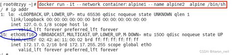 Docker进阶 8 Docker Network 网络模式之 Containerdocker网络模式container Csdn博客