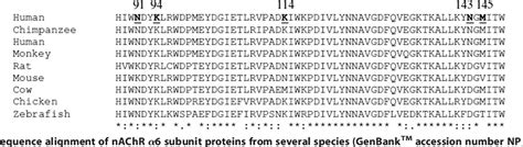 Figure 9 From Identification Of N Terminal Extracellular Domain Determinants In Nicotinic