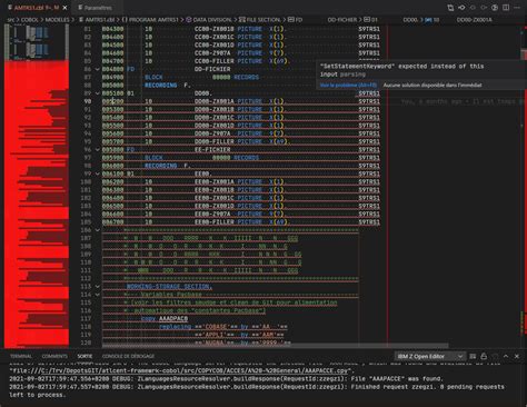 Cobol Language Server Full Red Program After Ls Analysis · Issue