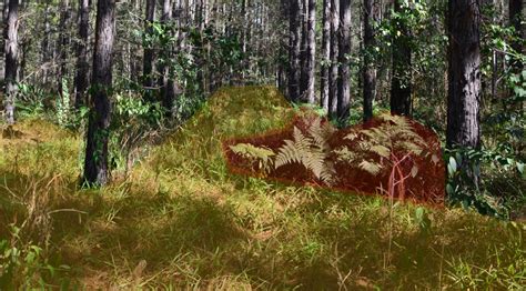 Terrain Traversability Qut Centre For Robotics