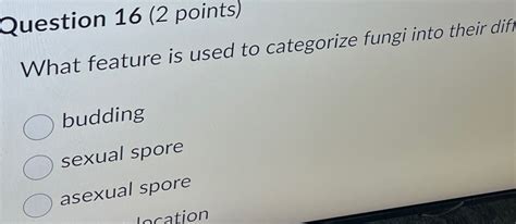 Solved Question 16 2 ﻿pointswhat Feature Is Used To