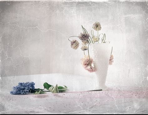 Heatwave Photography 4thofjuly Michelle Kott