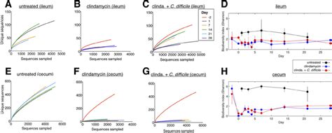 Clindamycin Induces Profound Long Lasting Decreases In Intestinal