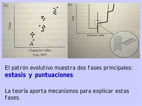 4 Equilibrio