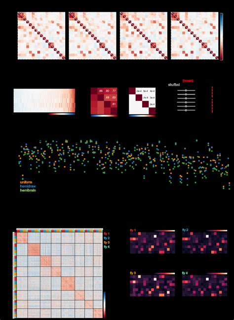 Mb Representational Space Is Structured And Invariant Across Download Scientific Diagram