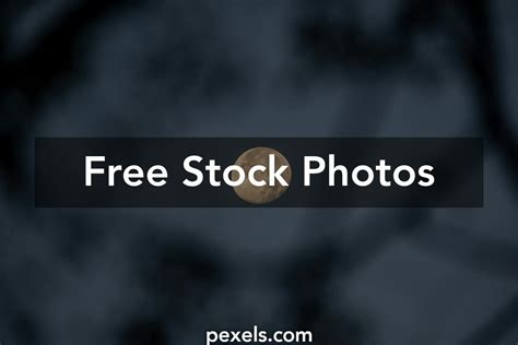 Moonlight Xxxtentacion Photos Download The Best Free Moonlight