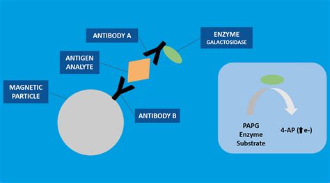 Molecular Affinity Biosensores Sl