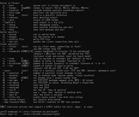 Iperf—流量测试 灵笑若然 博客园