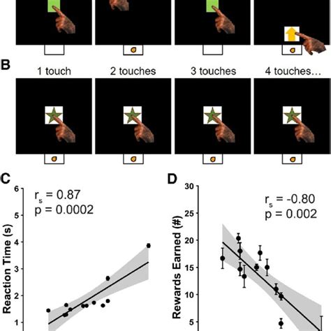 Delayed Recognition Span Task Drst A Example Of One Drst Trial Download Scientific Diagram
