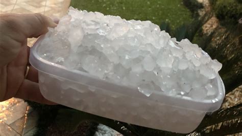 Temporal Provoca Alagamentos E Derruba árvores Na Grande Poa Metsul