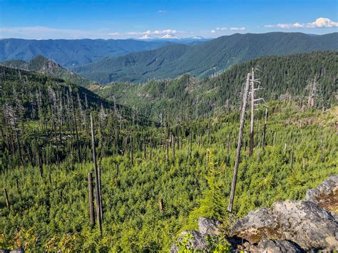 Big Bunchgrass Ridge Hike Oregon