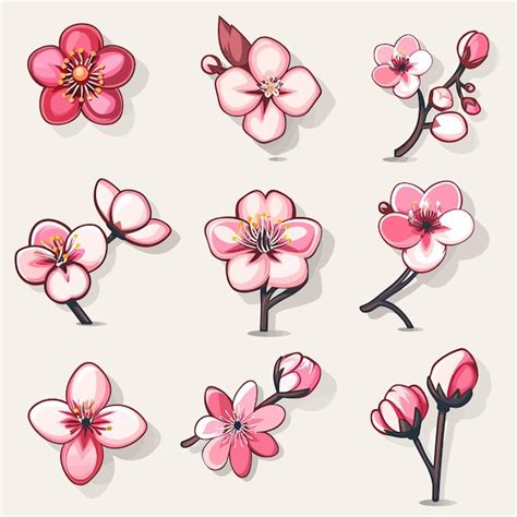 Premium Vector Cherry Blossom Branches Vector