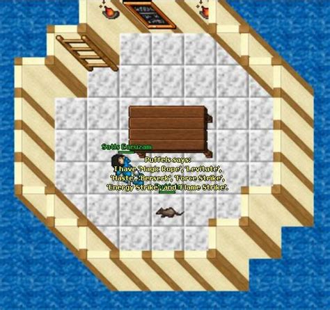 Edron Wszytko O Npc Forum Tibia Pl