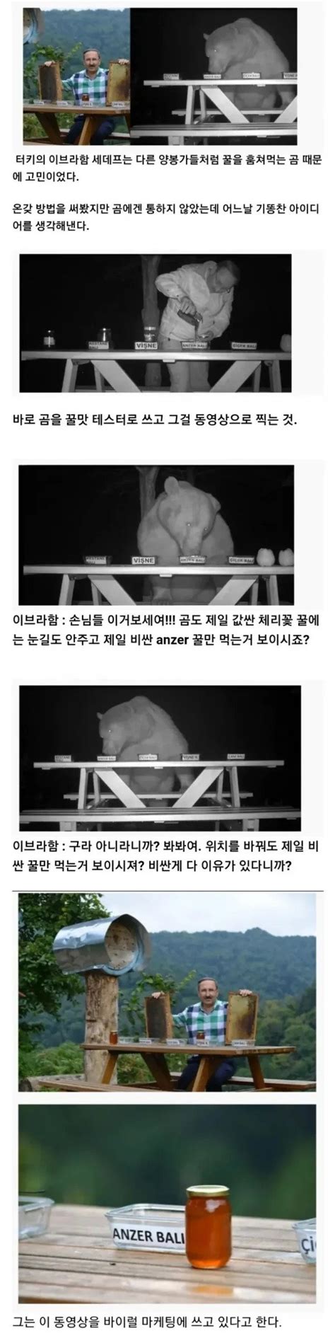 은혜갚은 곰 유머 움짤 이슈 에펨코리아