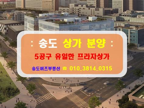 송도 5공구 편의시설 학원가 상가 에스파이브시티 분양 임대 네이버 블로그