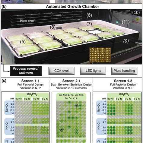 The Robotic Screening System Used For Nutrient Optimisation A Download Scientific Diagram