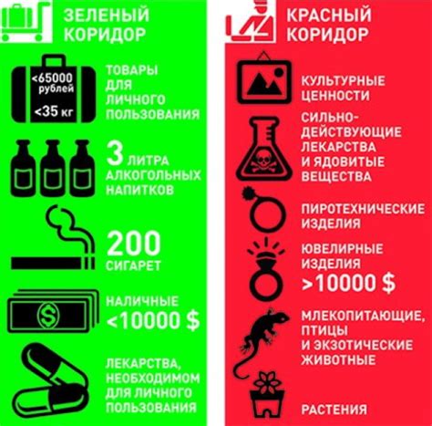 Паспортный контроль в аэропорту Что проверяют Шереметьево Домодедово