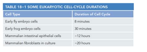 CELL CH 18 AND 20 Flashcards Quizlet