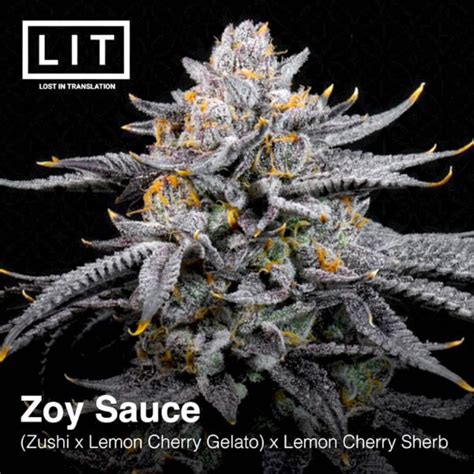 Zoy Sauce Seeds Strain Exotic Lit Farms Zushi X Lemon Cherry