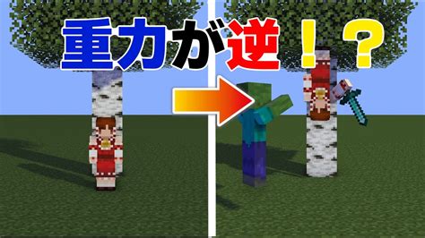 マイクラ重力が逆さの世界でダイヤゲットチャレンジ重力マインクラフトチャレンジゆっくり実況 マイクラ マインクラフト