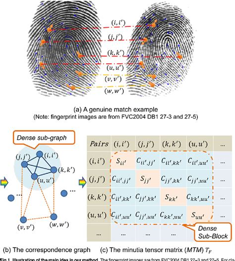 Figure 1 From Minutia Tensor Matrix A New Strategy For Fingerprint