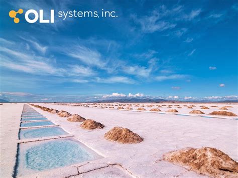 Process Simulation And Modeling Software Water Chemistry Oli