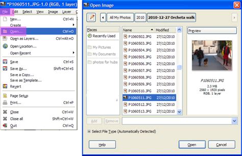 Gimp Tutorial On How To Do Selective Coloring Hubpages