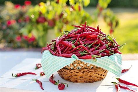 Resep Sambal Rias Khas Batak Tanpa Bawang Tetap Mantap