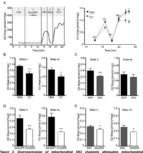 Figure From Mitochondrial Dysfunction In Oxidative Stress Semantic Scholar