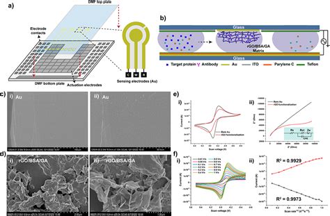 Electrochemical Biosensor Yuqian Zhang张玉倩