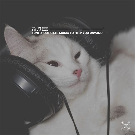 Soothing Melodies To Calm Your Cat Pt 20 Music For Cats Peace 单曲