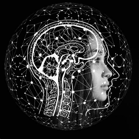 A Simple Hack For Accessing Your Brains Executive Function