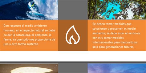 La Declaración De La Conferencia De Naciones Unidas Sobre El Medio