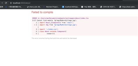 Hmr · Issue 9457 · Vercelnextjs · Github