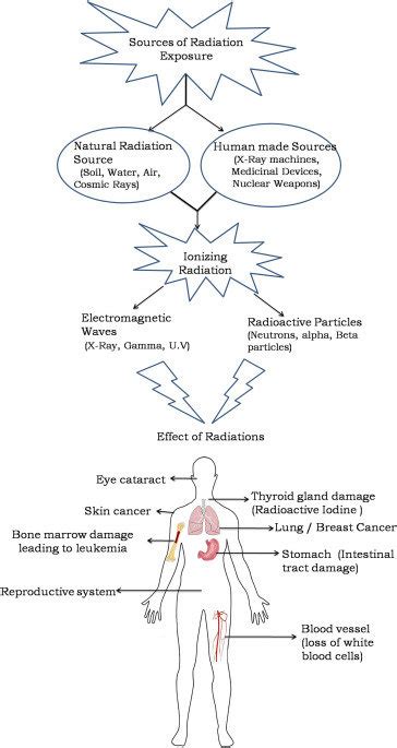 Radiation Poisoning Effects On Human