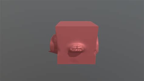 Jasmine Medinas Anatomy Cube 1 3d Model By Jasminemedina [f4c156a