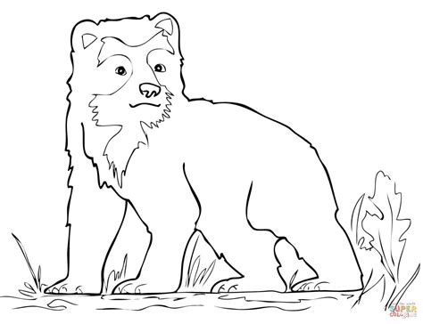 Dibujo De Cachorro De Oso De Anteojos Para Colorear Dibujos Para