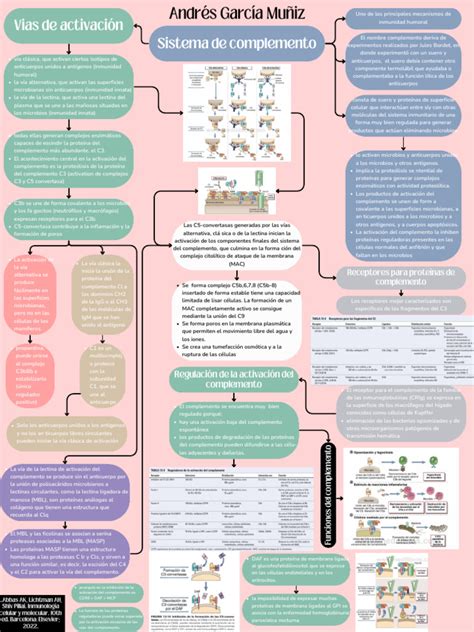 Sistema De Complemento Pdf Sistema Complementario Sistema Inmune