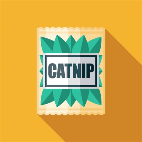 Catnip Illustrations Royalty Free Vector Graphics And Clip Art Istock