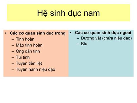 Ppt H Sinh D C V C C B Nh Th Ng G P C A H Sinh D C Powerpoint Presentation Id