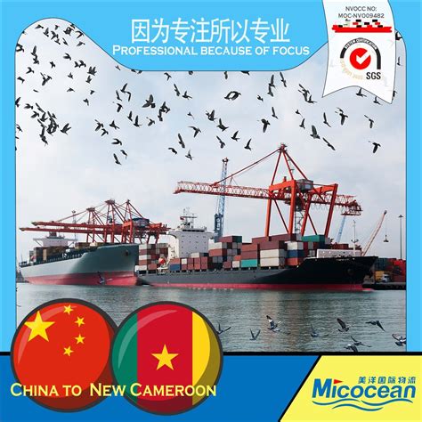 Fastest Fcl Lcl Container Cargo Ddu Ddp Service Sea Freight To Cameroon
