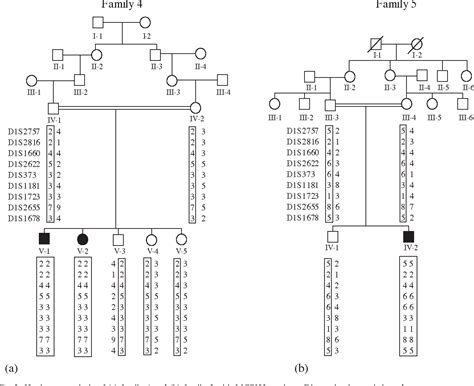 Microcephaly Primary Autosomal Recessive 6 Semantic Scholar