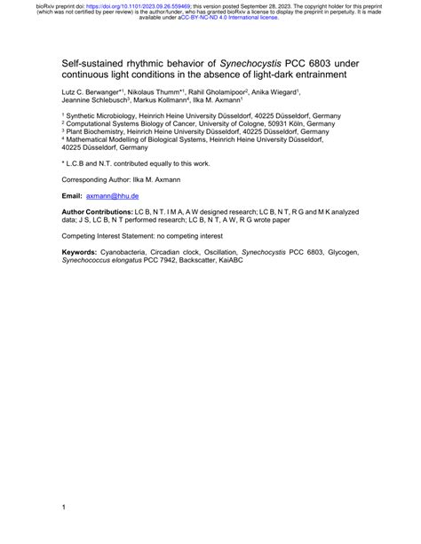 pdf self sustained rhythmic behavior of synechocystis pcc 6803 under