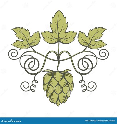Image Of Hops Stock Vector Illustration Of Barrel Festival 84304700