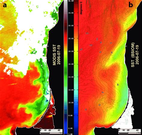 Sea Surface Temperature Fields • C Derived From Modis Data A And