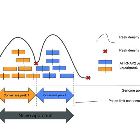 Fig S1 Identification Of Consensus Peaks Identification Of Consensus