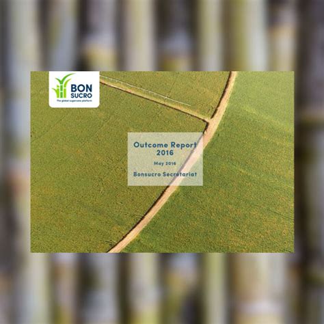 Bonsucro Outcome Report 2016 Bonsucro