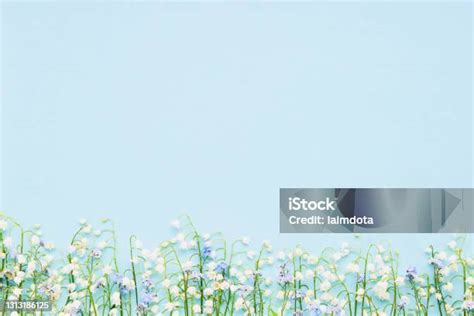 밝은 파란색 배경에 계곡의 백합의 경계 어머니의 날 발렌타인 데이 독신 상단 보기 텍스트에 대한 복사 공간 5월에 대한 스톡