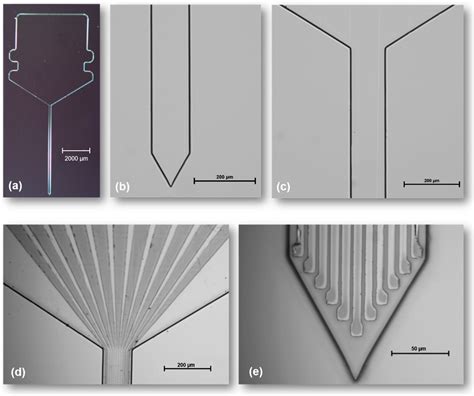 Sensors Free Full Text Flexible Neural Probe Fabrication Enhanced With A Low Temperature